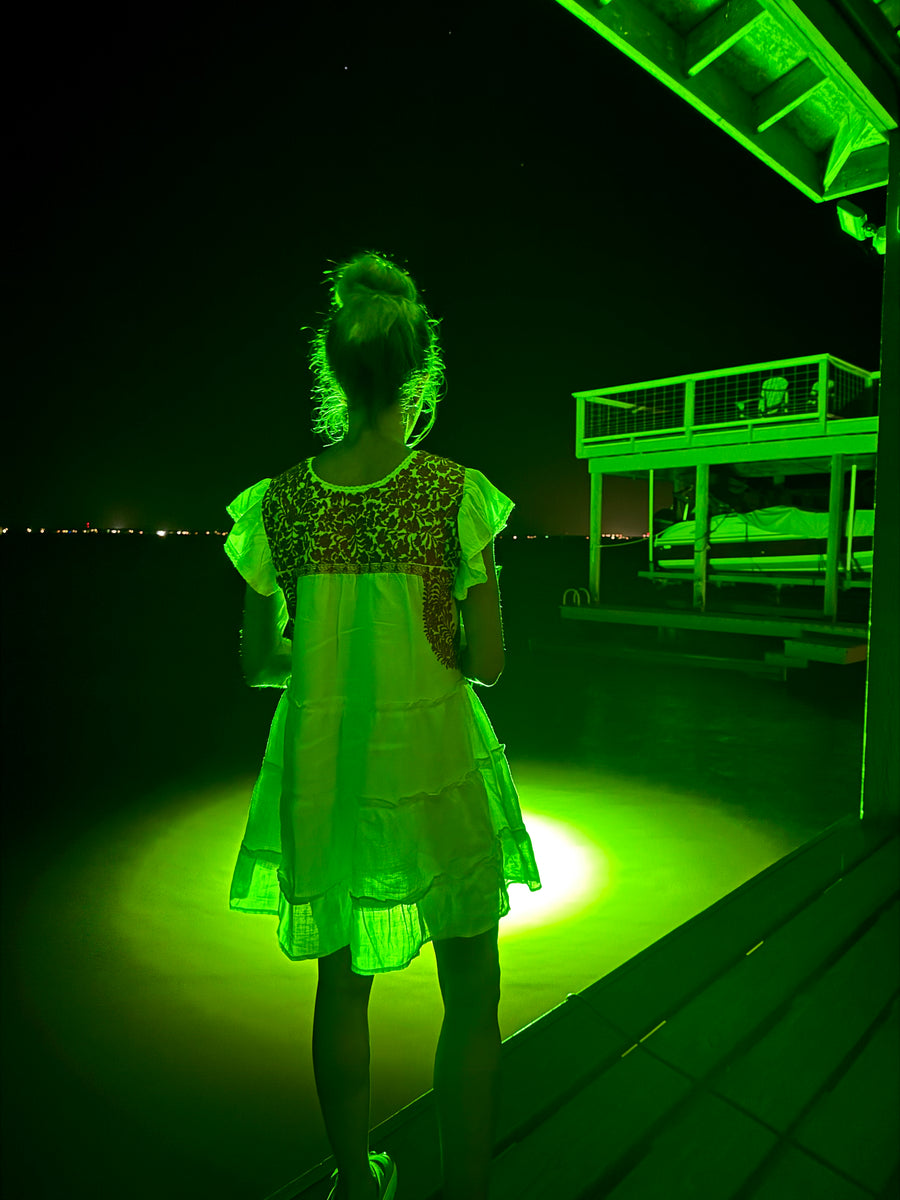 Mega Brite Underwater Light System (250 Watts) – Under Water Green ...